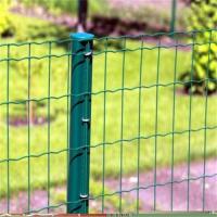 China Europe Standard 50x50mm Mesh Size Galvanized+PVC Coated Welded Wire Mesh Fence for Farm Use for sale