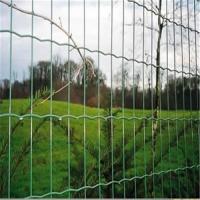China Galvanized+PVC Coated Euro Wire Mesh Fence with 50x50mm Mesh Size and Low Carbon Steel Wire for sale