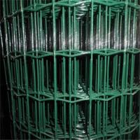 China 5-50m Lenghth BWG12 PVC Welded Wire Mesh Rolls For Rabbit Cages Chicken Coop for sale