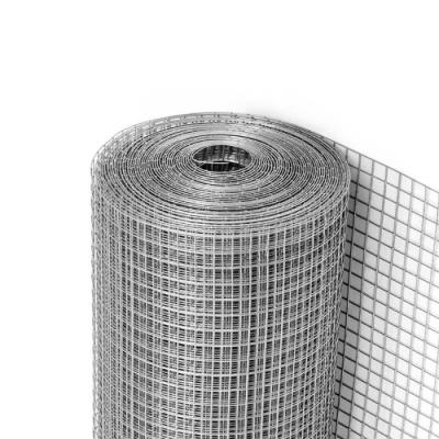 China 2025 High Quality Hot Dip Galvanized 50M Welded Wire Mesh for Fence Steel Wire Mesh Rolls for sale