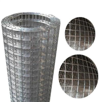 China 10 Gauge Stainless Steel Bird Cage Galvanized 3D Welded Wire Mesh Roll Panel Fence for sale