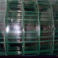 China Rot Proof PVC Coated Euro Wire Mesh Fence 50x50mm 2.0mm Garden Field Holland Fence for sale