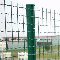 China Farm Green Color PVC Coated 50x50mm Mesh Opening Euro Holland Welded Wire Mesh Fence for Chile for sale
