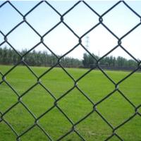 China PVC Coated Welded Wire Mesh with Smooth Coating Anti Aging and Galvanized Base Wire for Animal Cage for sale
