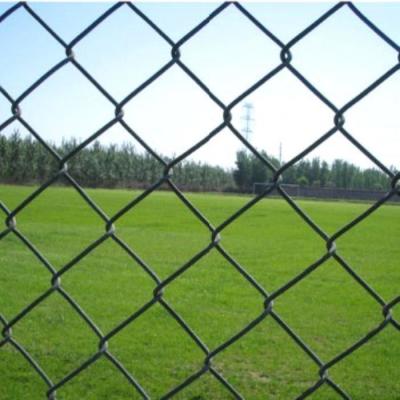 China PVC Coated Welded Wire Mesh with Smooth Coating Anti Aging and Galvanized Base Wire for Animal Cage for sale