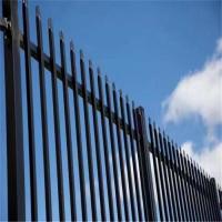 China Residential Low Carbon Steel Pipe Power Coated Picket Steel Fence and Ornamental Fence for sale