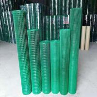 China Custom 1×2m PVC Coated Welded Wire Mesh Panel with 12.5×12.5mm Small Hole for Window Protection for sale