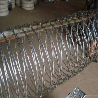 China Weather Resistant 50cm Coil Diameter Galvanized Razor Wire for High Security Fencing for sale