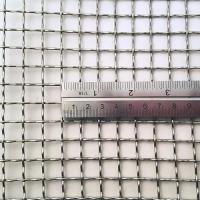 China Factory Stainless Steel Wire Mesh Filter Plain Weave 60-200 Mesh SS304/316 Wire Cloth with Cutting & Welding Services for sale