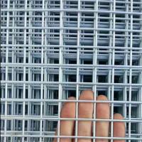 China Electro Galvanized Iron Wire Mesh Fence Black PVC Coated Welded Panel with Bending & Cutting Services Square Hole Shape Mesh for sale