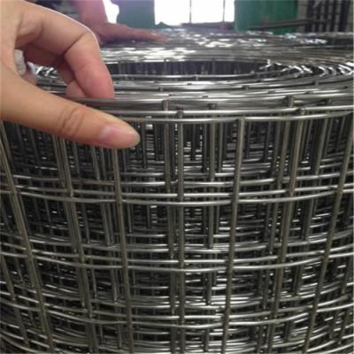 China Hot Dipped Electric Galvanized Stainless Steel Plain Weave Welded Wire Mesh 304/316 Model for Protecting for sale