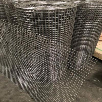 China Wholesale Factory Price Stainless Steel Poultry Fence Mesh Electric Welded Wire Mesh for Chicken Cage for sale