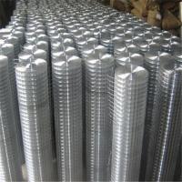 China Customizable 4ftx50ft Galvanized Welded Wire Mesh Chicken Bird Cage Wire Mesh for sale