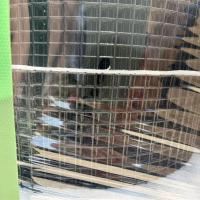 China Black PVC Coated Galvanized Steel Solar Panel Bird Guard Mesh Screen for sale