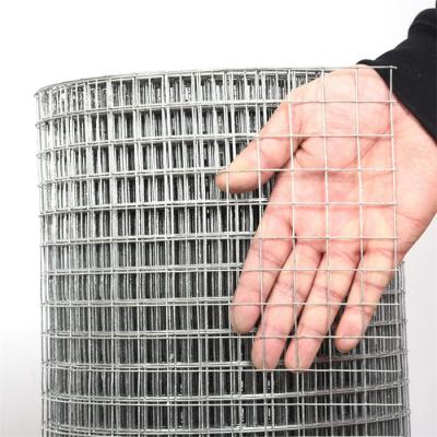 China Galvanized Welded Wire Mesh Roll 1cm 2cm Grid 1x20m Wall Anti Crack Welded Wire Mesh for sale
