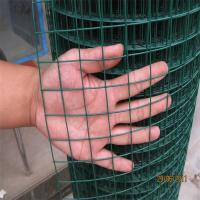 China High Quality High Strength PVC Coated Galvanized Welded Wire Mesh in Roll for sale