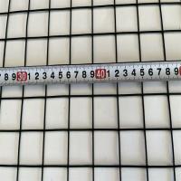China Hot Dipped Galvanized Welded Wire Mesh Panels with 50×50mm Mesh in 30m Roll for Garden and Farm Fencing for sale