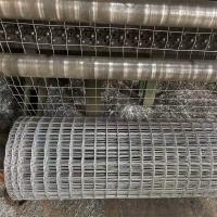 China Galvanized Welded Wire Mesh Chicken Fencing Trellis Mesh Iron Netting for Animal Pet Cages for sale