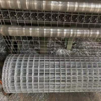 China Galvanized Welded Wire Mesh Chicken Fencing Trellis Mesh Iron Netting for Animal Pet Cages for sale