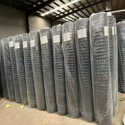 China 19x19mm Aperture Electro Galvanized Welded Wire Mesh Panel Anti Rust for Construction and Fencing for sale