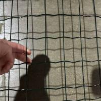 China Professional Factory Heavy Duty Galvanized 5X5 Welded Wire Mesh High-Strength Iron Wire Mesh for sale