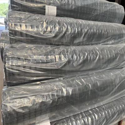 China Factory Price High Quality 50x50mm Green PVC Coated Holland Welded Wire Mesh Fence Panels for Euro Fence for sale