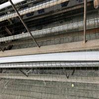 China 50x50mm Mesh Size Galvanized+PVC Coated Euro Wire Mesh Fence with 1.00m Height for sale