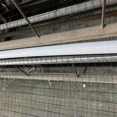 China Hot Dipped Galvanized Steel Woven Wire Mesh for Animal Pet Cages Plain Stainless Steel Welded Wire Fencing for sale