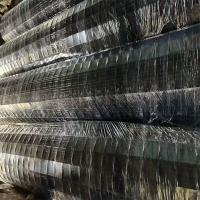 China Galvanized+PVC Coated Euro Wire Mesh Fence with 50x50mm Mesh Size and Corrosion Resistance for Farm and Garden for sale
