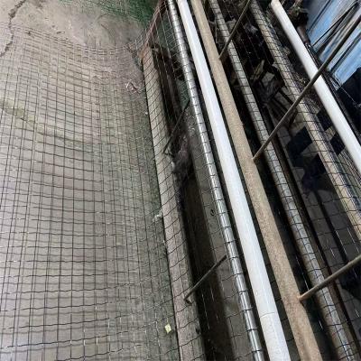 China Galvanized Corrosion Resistance Welded Wire Mesh Rolls for Farm Fence PVC Coated Welded Wire Mesh Roll for sale