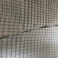 China Hot Dipped Galvanized Welded Wire Mesh Roll & Sheet Made from Low Carbon Steel for Outdoor Use for sale