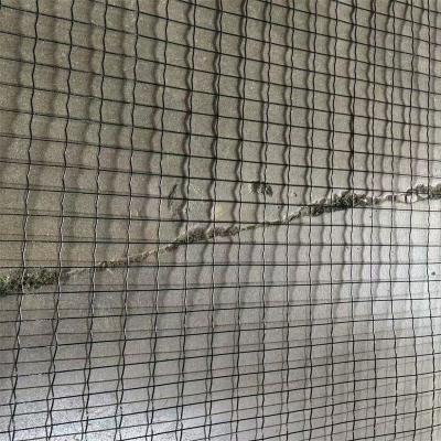China Hot Dipped Galvanized Welded Wire Mesh Roll & Sheet Made from Low Carbon Steel for Outdoor Use for sale