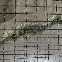 China Farm Green PVC Coated Euro Wire Mesh Fence with 50x50mm Mesh Opening and Galvanized+PVC Coated Surface for sale