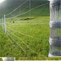 China Galvanized Durable Iron Wire Mesh Modern Fence for Yard and Livestock Farm Cattle with Metal Frame for sale