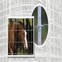 China High Quality Field Fence to Feed Cattle in Agriculture Farm and Grassland Also As Barriers Against Deer and Wild Animals for sale