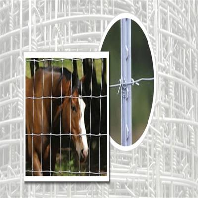 China High Quality Field Fence to Feed Cattle in Agriculture Farm and Grassland Also As Barriers Against Deer and Wild Animals for sale