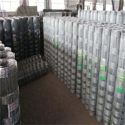 China Animal Rural Farm Hot Dipped Galvanized Steel Wire Mesh Hinge Joint Fence for sale