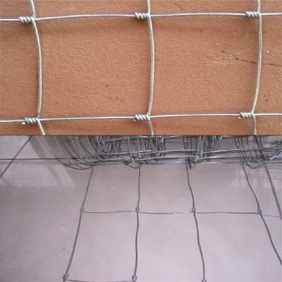 China Hot-dipped Galvanized Steel Iron High Tensile Wire 1.0/1.2/2 m Height 50 m Length Livestock Farm Cattle Fence Wire Mesh for sale