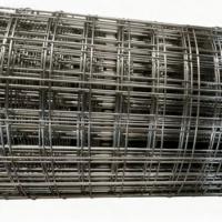 China Hot Dipped Galvanized Welded Wire Mesh with Fine Opening for Wall Plaster Anti-Crack & Rat Proof for sale