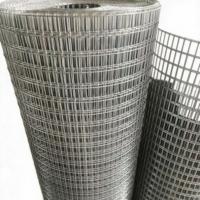 China Hot Dipped Galvanized Welded Wire Mesh with Fine Opening for Wall Plaster Anti-Crack & Rat Proof for sale