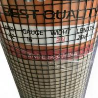 China Hot Dipped Galvanized Welded Wire Mesh with Fine Opening for Wall Plaster Anti-Crack & Rat Proof for sale
