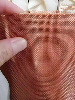 China High Quality Copper Wire Mesh with Fine Plain Weave in 20-100 Mesh and 0.12-0.50mm Wire Diameter for Filtration and Separation for sale