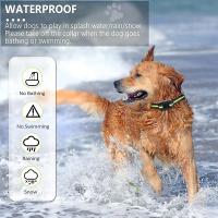 China Outdoor Remote Control Dog Training Collars Rechargeable Dog Bark Training Collar for sale