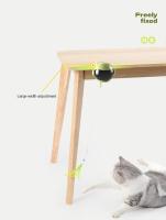 China Plastic Automatic Lifting Cat Ball Toy Electric Cat Self Playing Toys Adjustable for sale