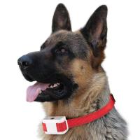 China Rechargeable Pet Training Products Auto Anti Bark Spray Collars Customized for sale