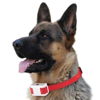 China Rechargeable Pet Training Products Auto Anti Bark Spray Collars Customized for sale