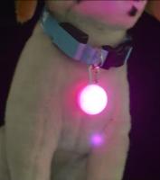 China Customized Flashing Dog Collar Tags Red / Blue / Yellow / Green Flashing Safety Lights For Dogs for sale
