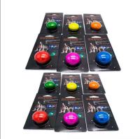 China Customized Flashing Dog Collar Tags Red / Blue / Yellow / Green Flashing Safety Lights For Dogs for sale