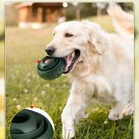 China Refillable Slow Feeder Dog Ball Rubber Dog Food Ball Toy Durable for sale