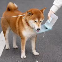 China 580ML Dog Travel Water Bottle Portable Pet Drinking Water Bottles OEM for sale
